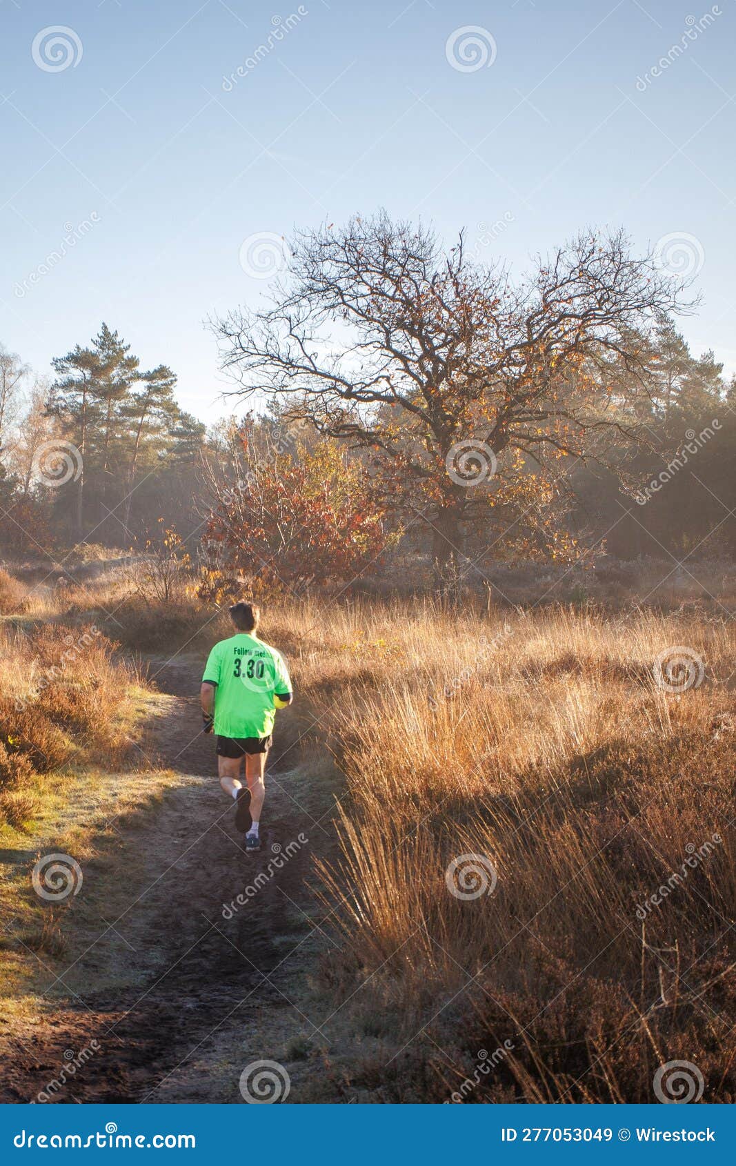 Solo Runner Running in the Morning Sun Stock Image - Image of activity ...