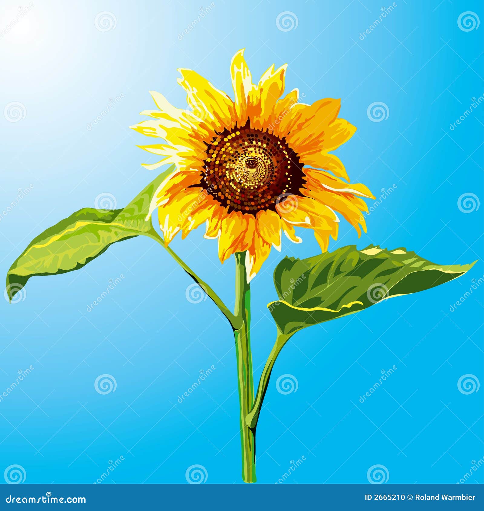 Solros vektor illustrationer. Illustration av himmel, vitamin - 2665210