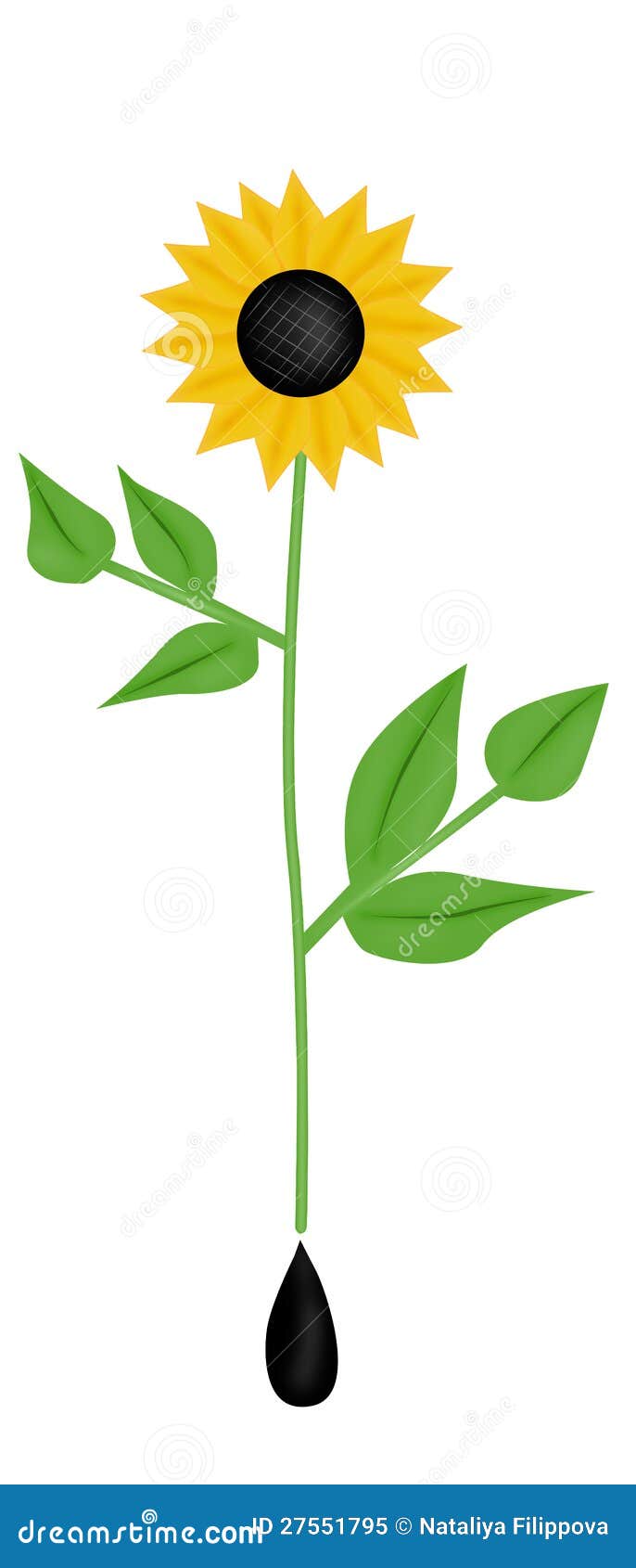 Solros stock illustrationer. Illustration av jordbruk - 27551795