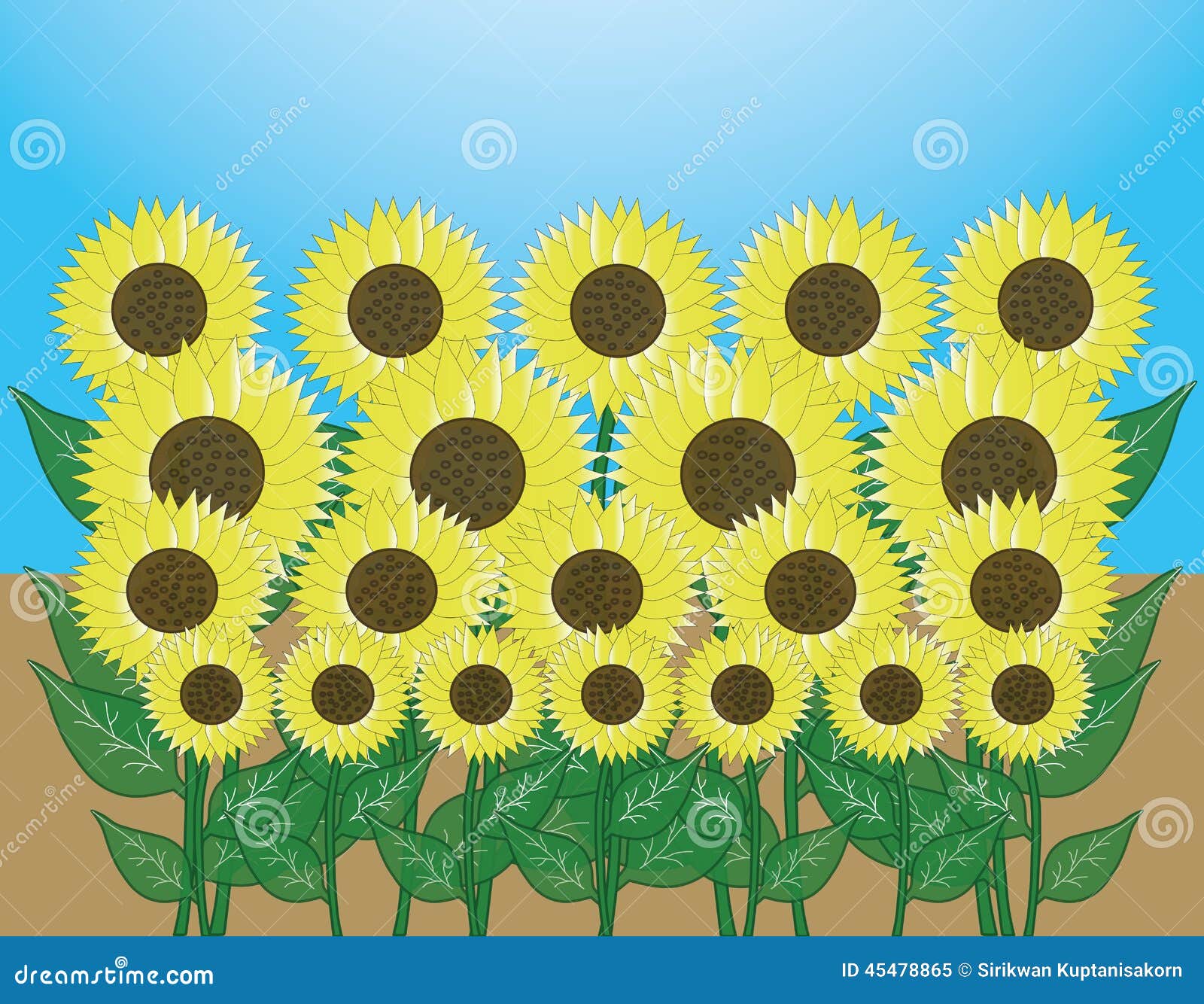 Solros vektor illustrationer. Illustration av cirkel - 45478865