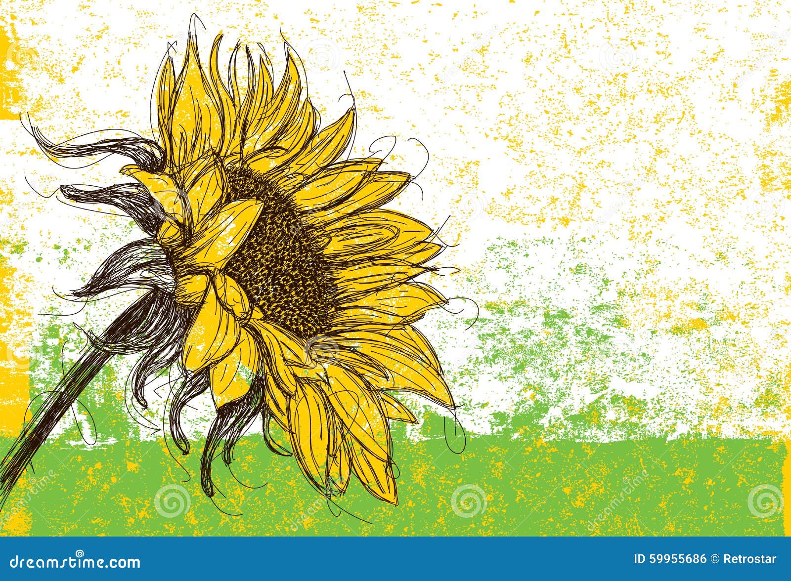 Solros vektor illustrationer. Illustration av bekymrat - 59955686