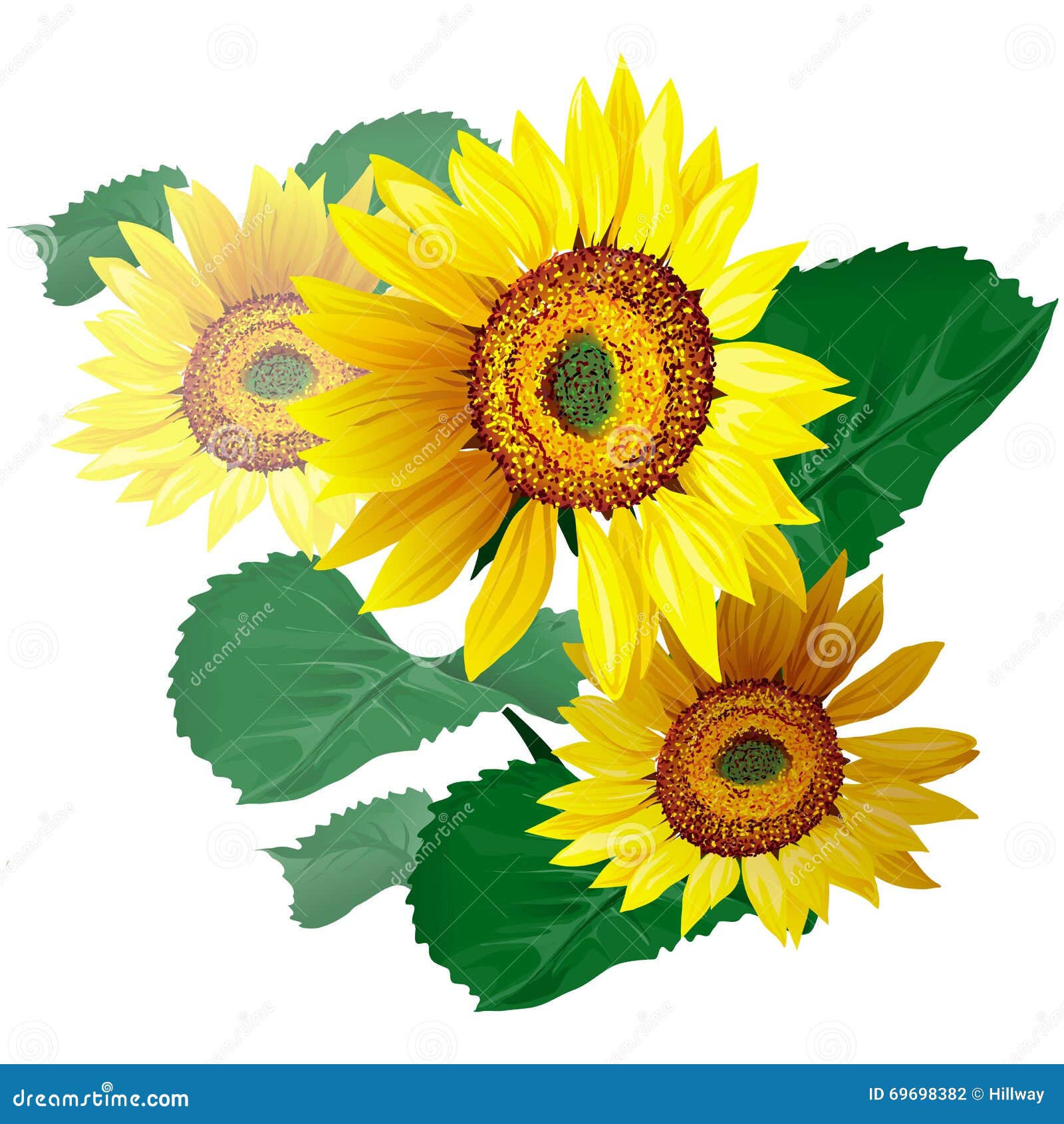 Solrosillustration vektor illustrationer. Illustration av illustration ...