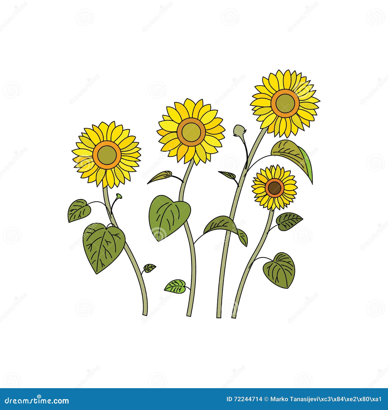 Solrosor vektor illustrationer. Illustration av blodsugare - 72244714