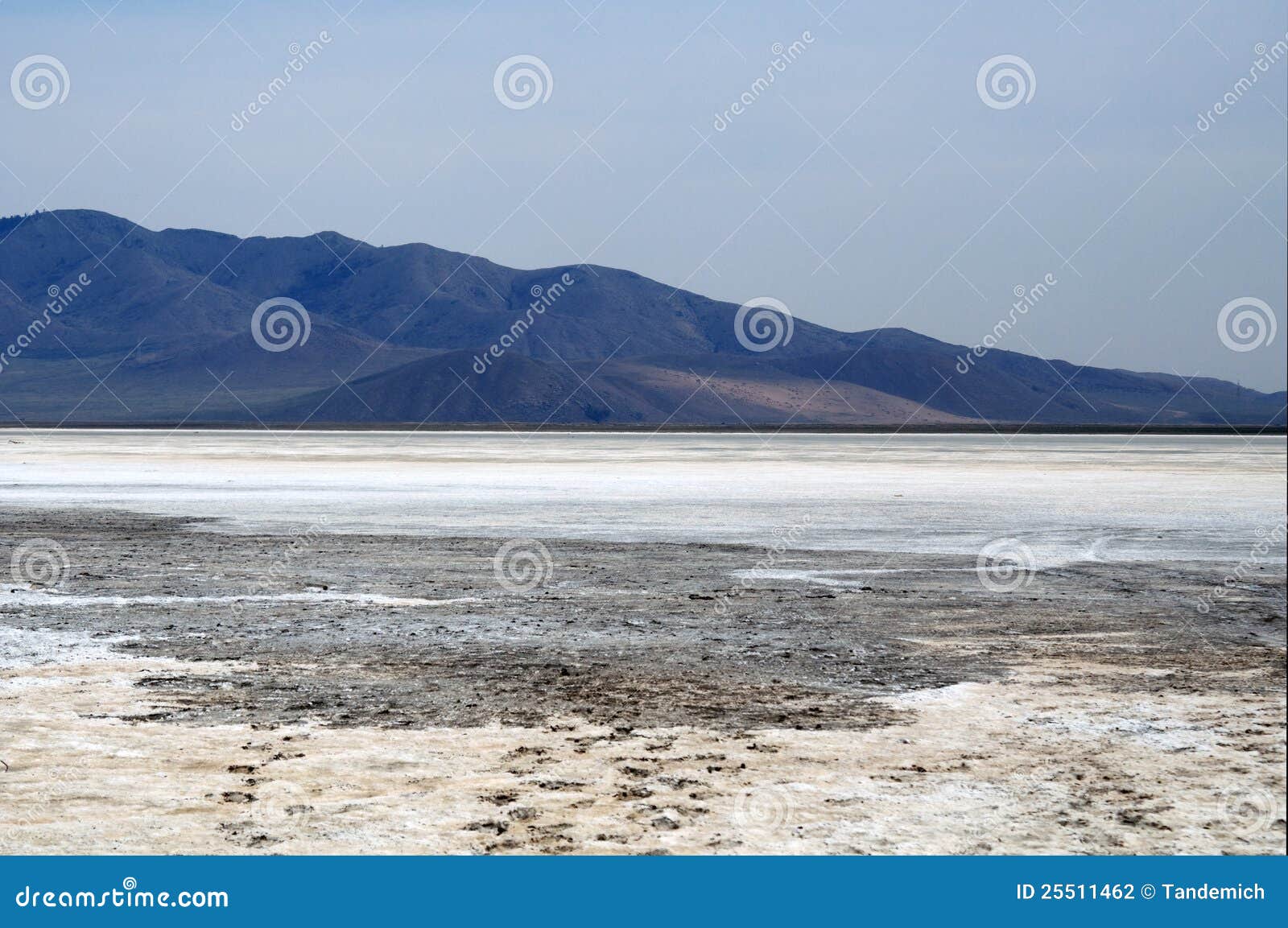 Solt lake stock photo. Image of brown, countryside, landscape - 25511462