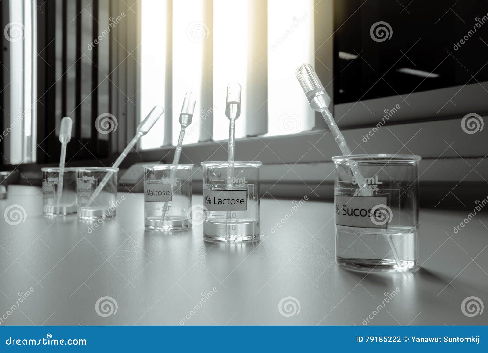 Solution in Beakers with Dropper Stock Photo - Image of laboratory ...