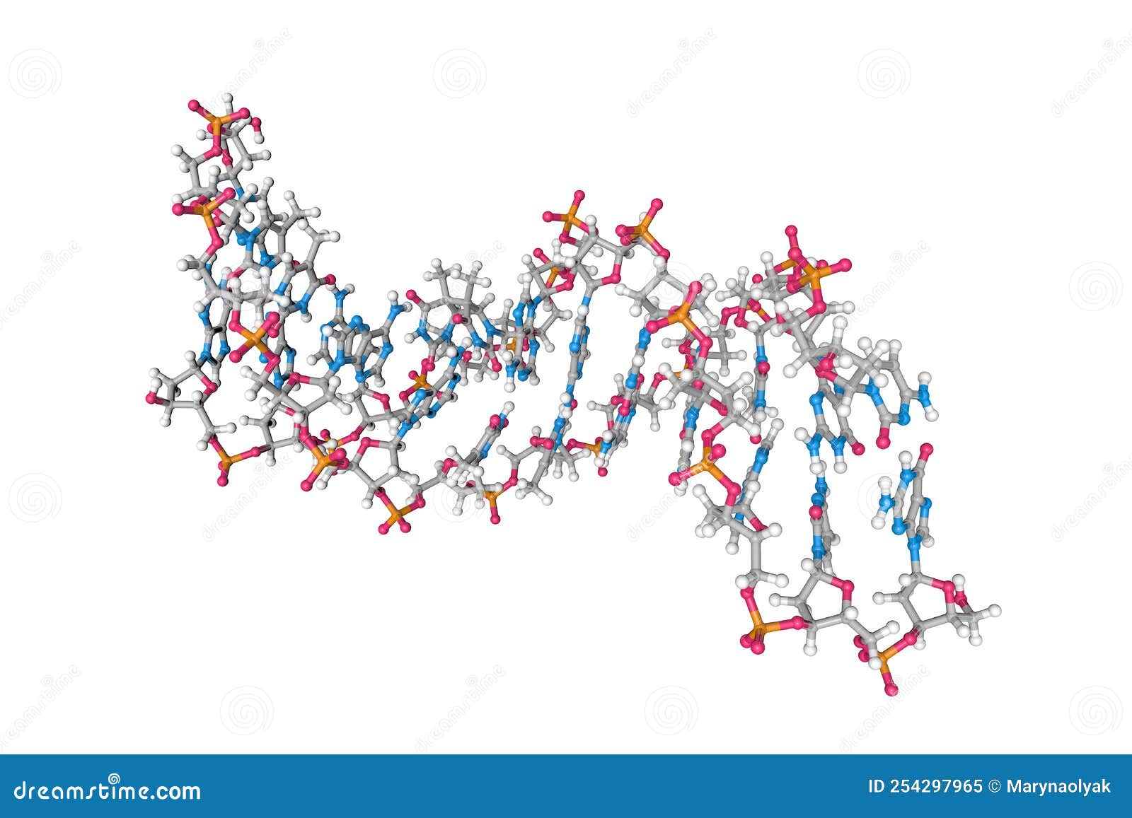 Solution-state Structure Of Dna Dodecamer Duplex Containing A Cis-syn ...