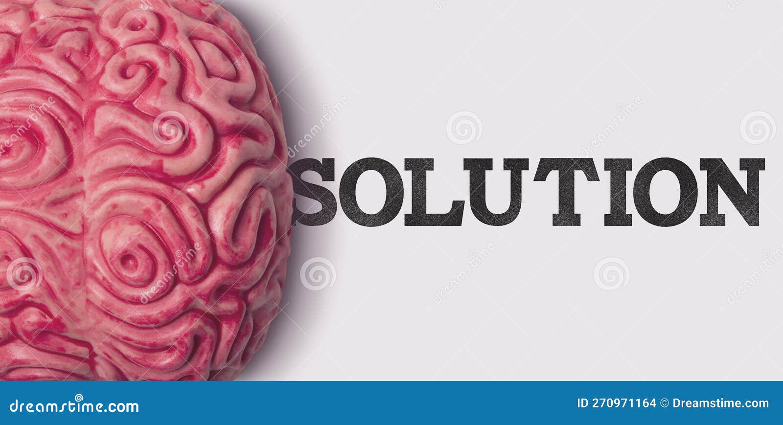 Solution Word Next To a Human Brain Model Stock Photo - Image of ...