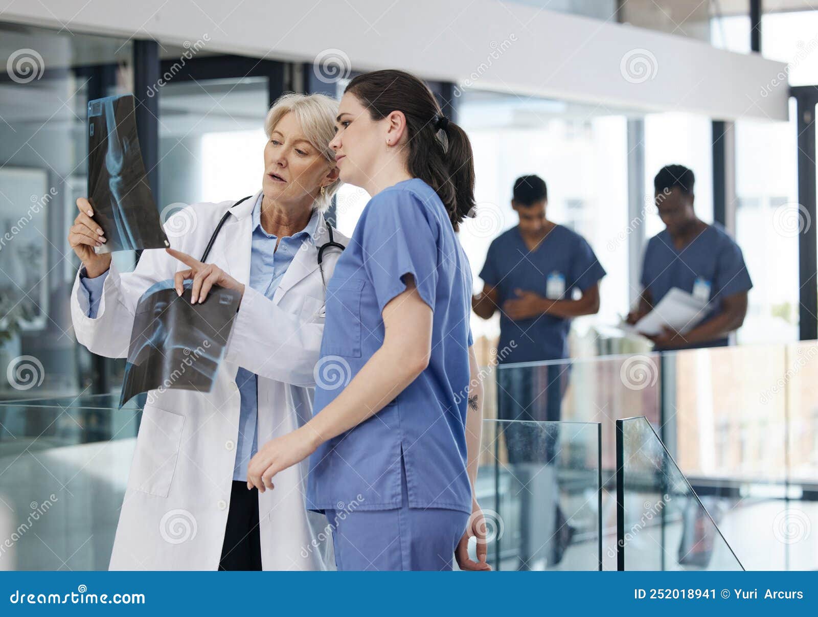 Solving Problems Together. Two Female Doctors Examining an X-ray at a ...