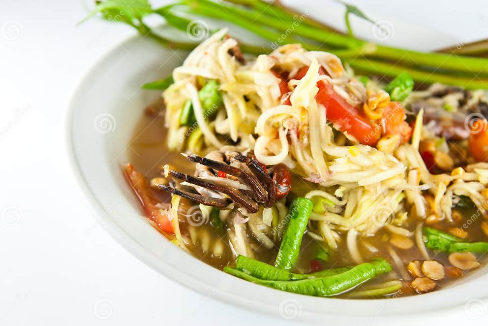 Som Tum thai food stock image. Image of asian, object - 20249795