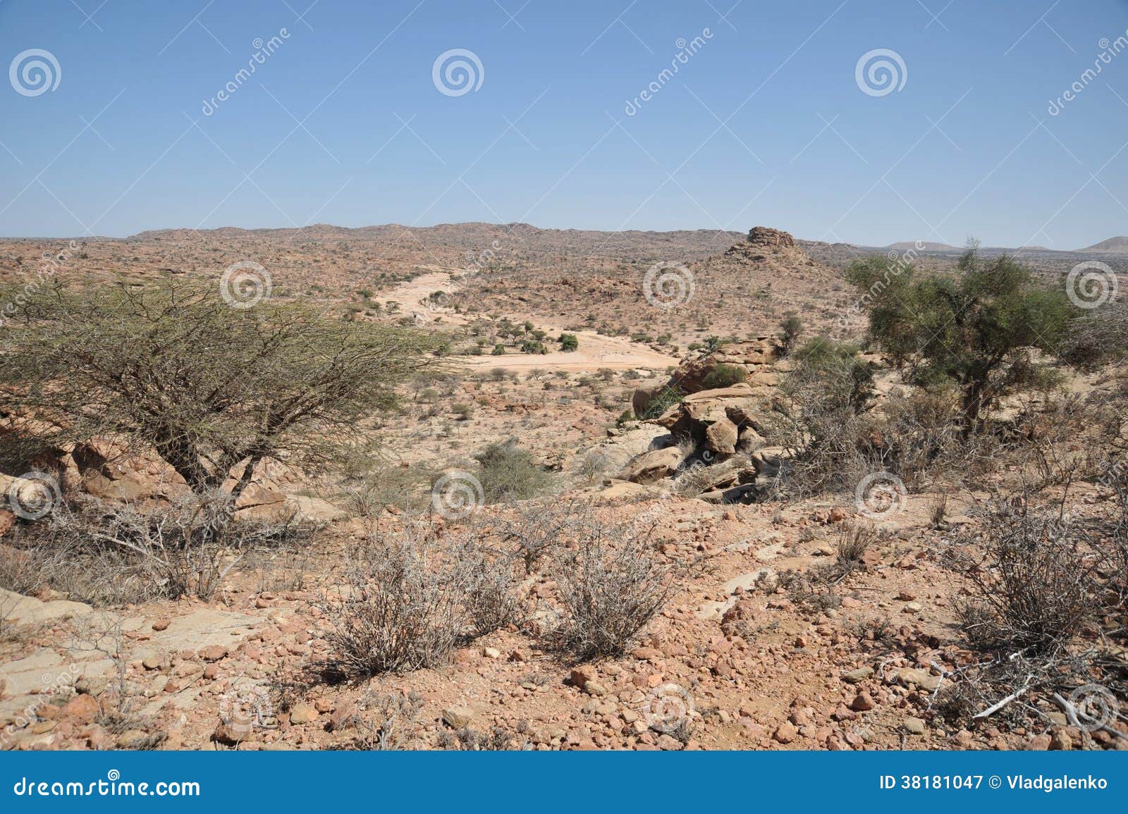 Somali ladscape stock image. Image of bush, somalia, landscape - 38181047