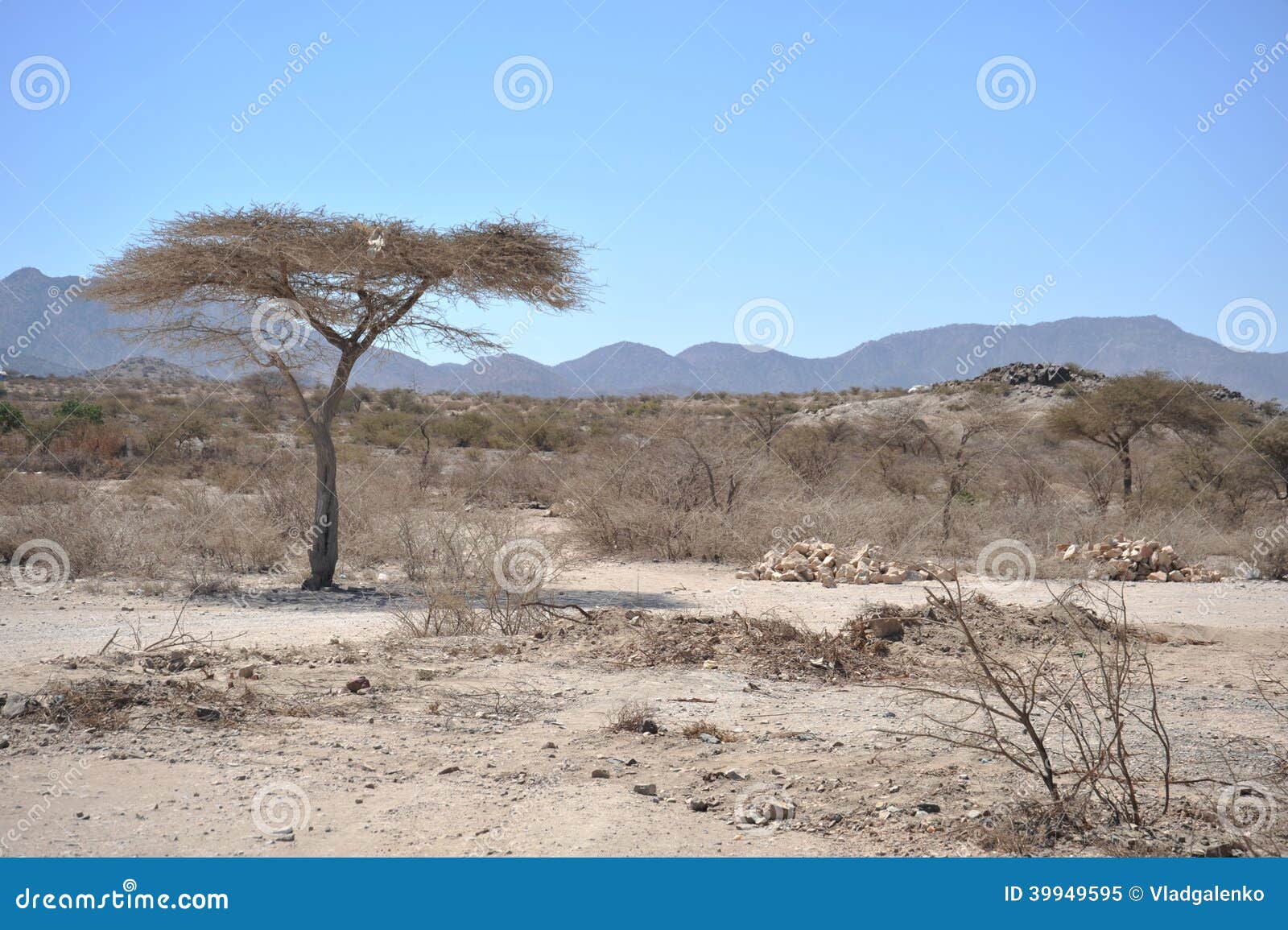 Somali ladscape stock image. Image of cisomalia, blue - 39949595