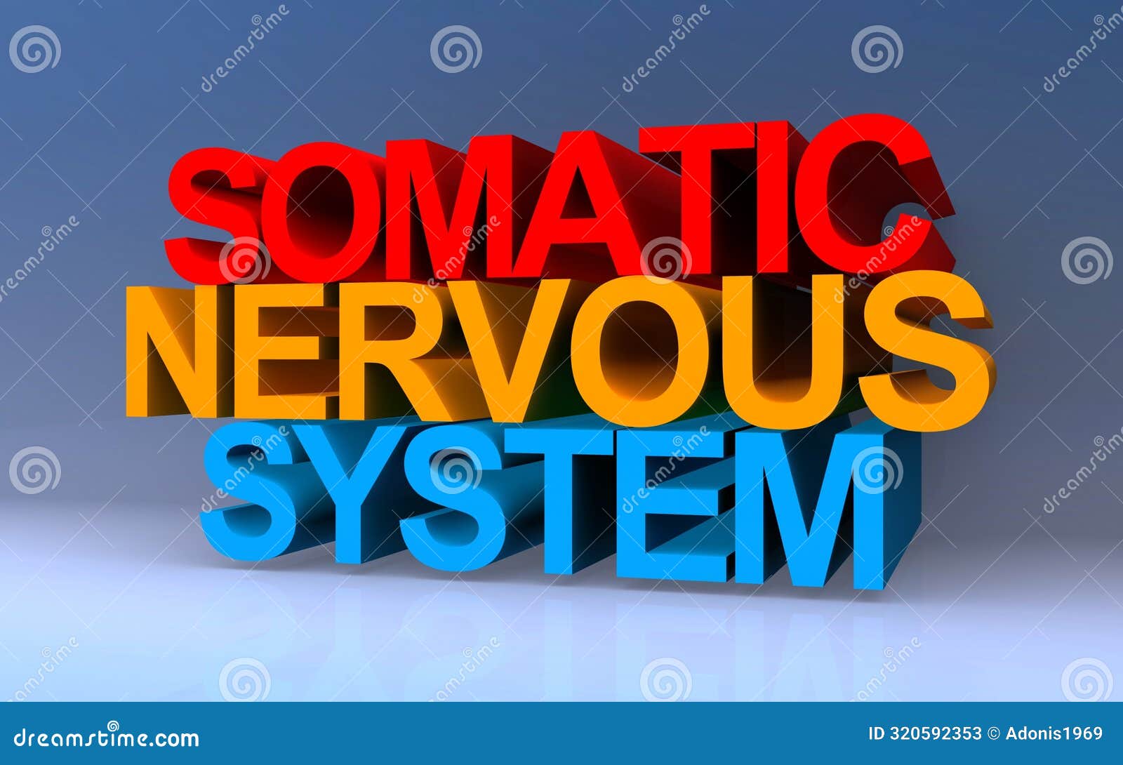 Somatic Vs Autonomic Nervous System Division In Human Brain Outline ...