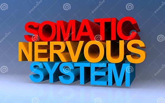 Somatic Nervous System on Blue Stock Illustration - Illustration of ...