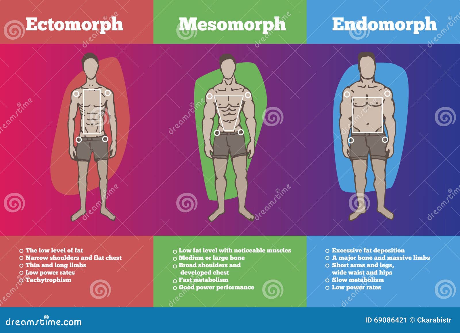 Somatotypes De Corps D'hommes Illustration de Vecteur - Illustration du ...