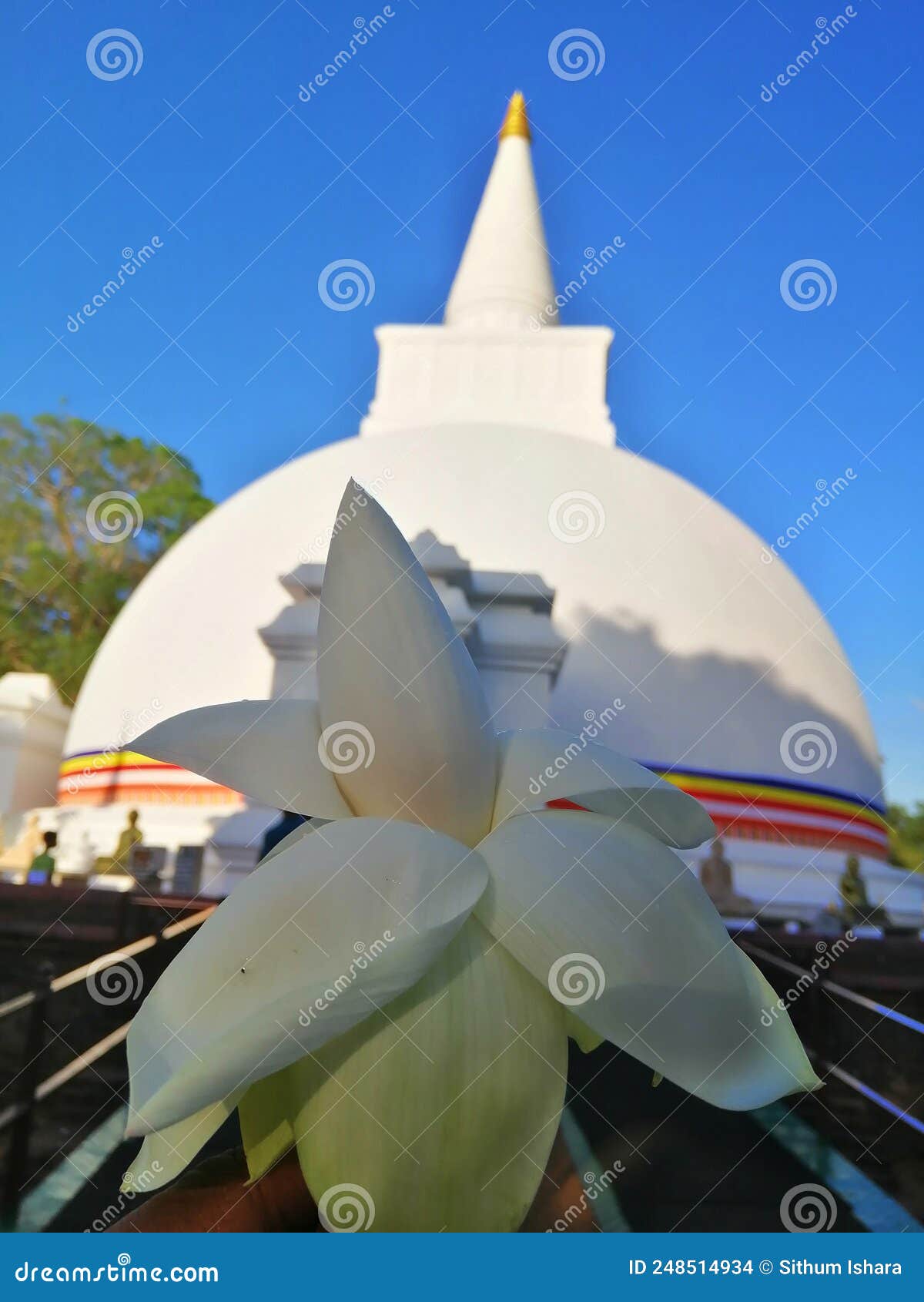 Somawathi Temple stock photo. Image of flower, dome - 248514934
