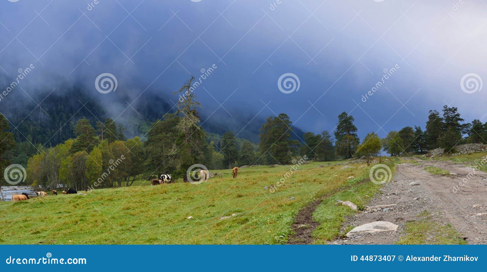Somber autumn stock image. Image of blue, mountains, morning - 44873407