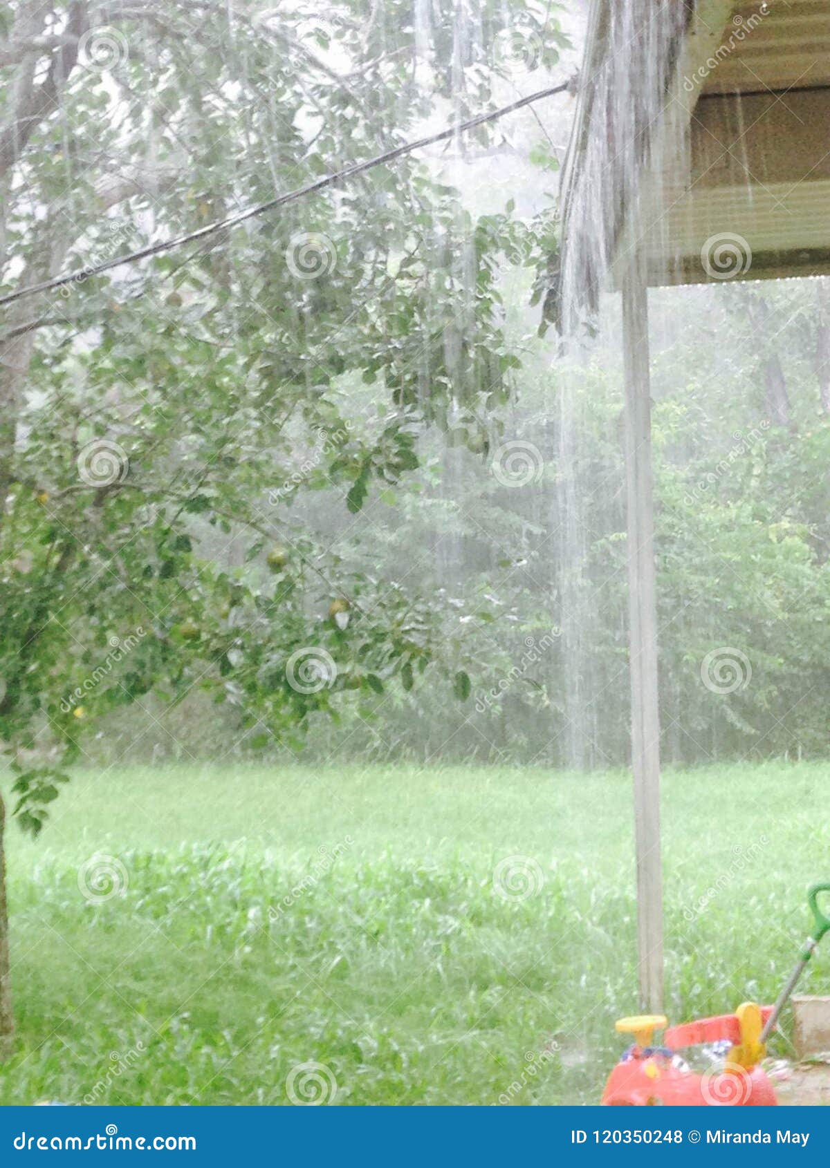 Somber day stock photo. Image of rain, sullen, somber - 120350248