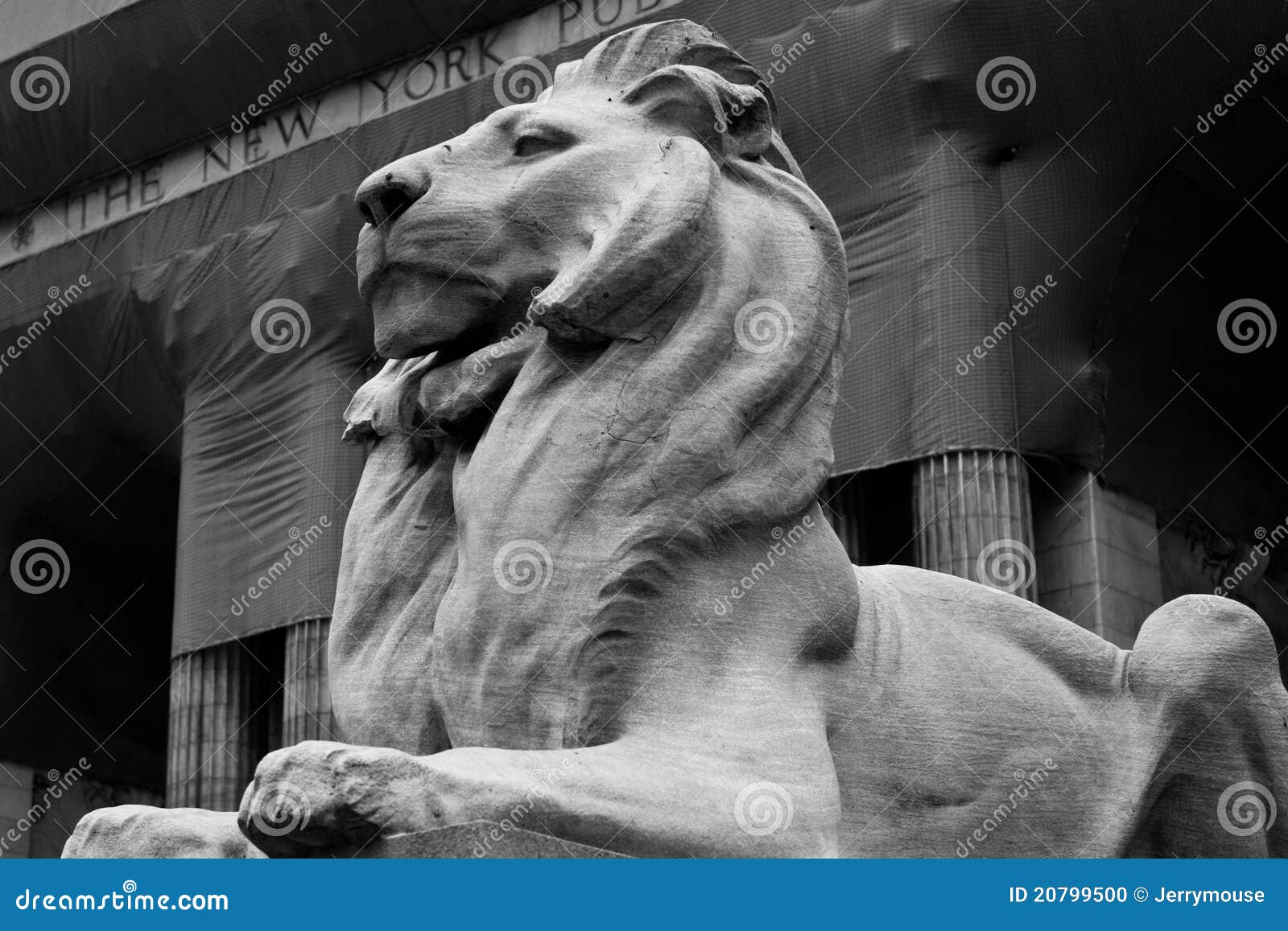 Lion Statue stock photo. Image of landmark, high, gothic - 20799500
