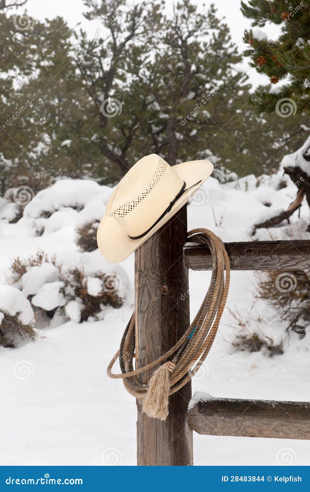 Sombrero Y Lazo De Wrangler Foto de archivo - Imagen de invierno ...