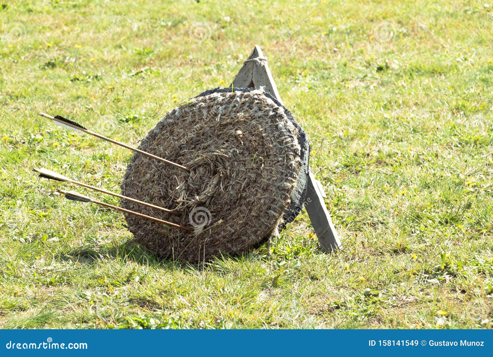 Some Arrows Nailed in a Straw Target for Training with Arrows and ...