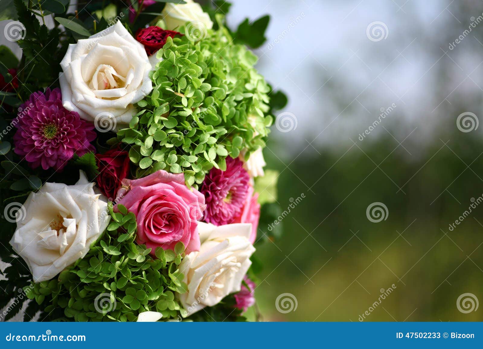 Some beautiful roses stock image. Image of fresh, beauty - 47502233
