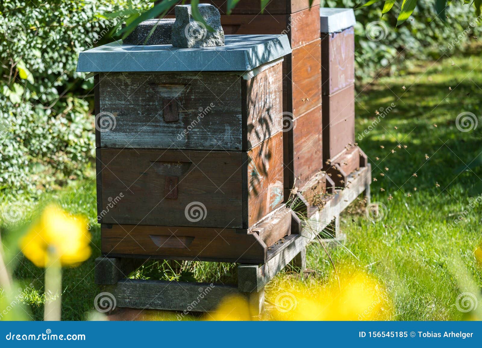 Some behives in the nature stock image. Image of beehive - 156545185