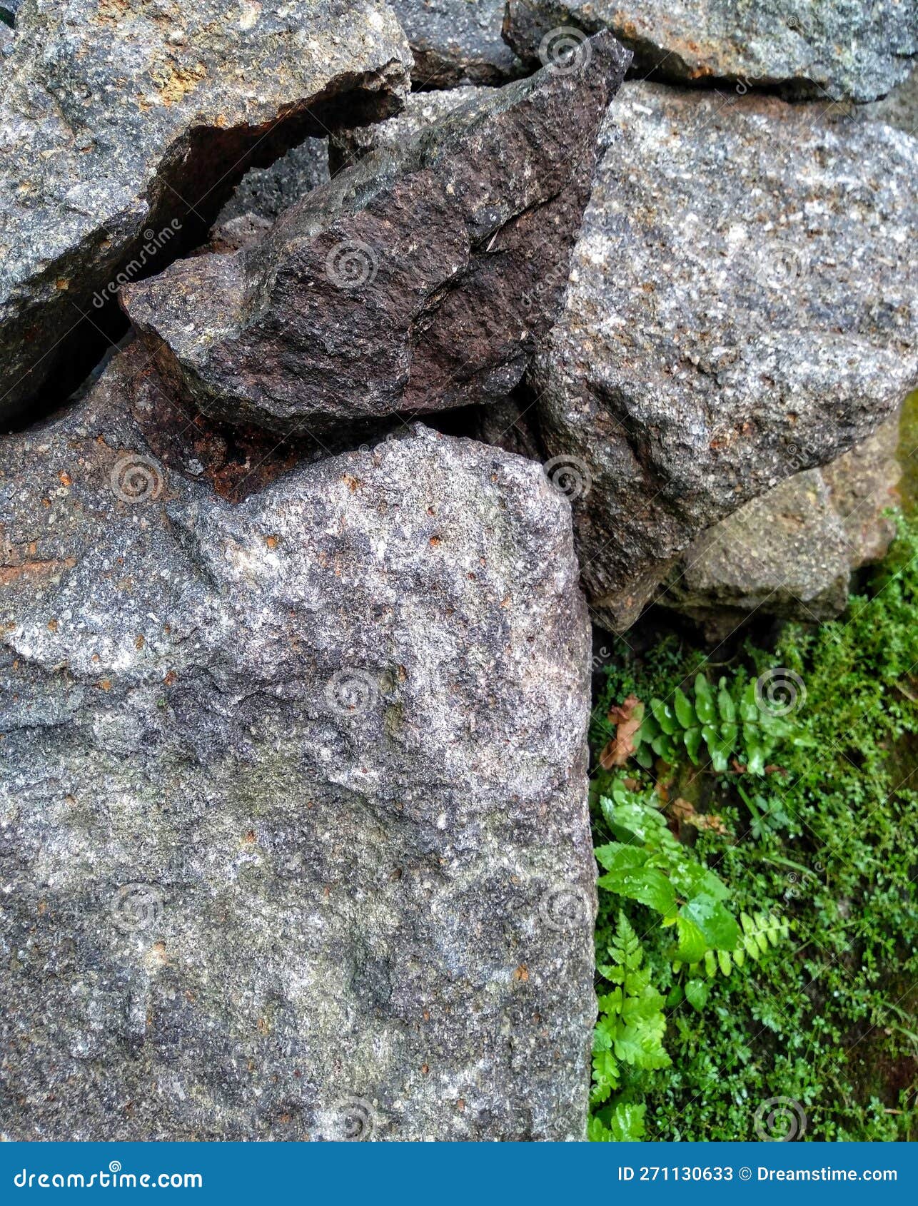 Some Big Rocks and Little Plants Stock Image - Image of rocks, plants ...