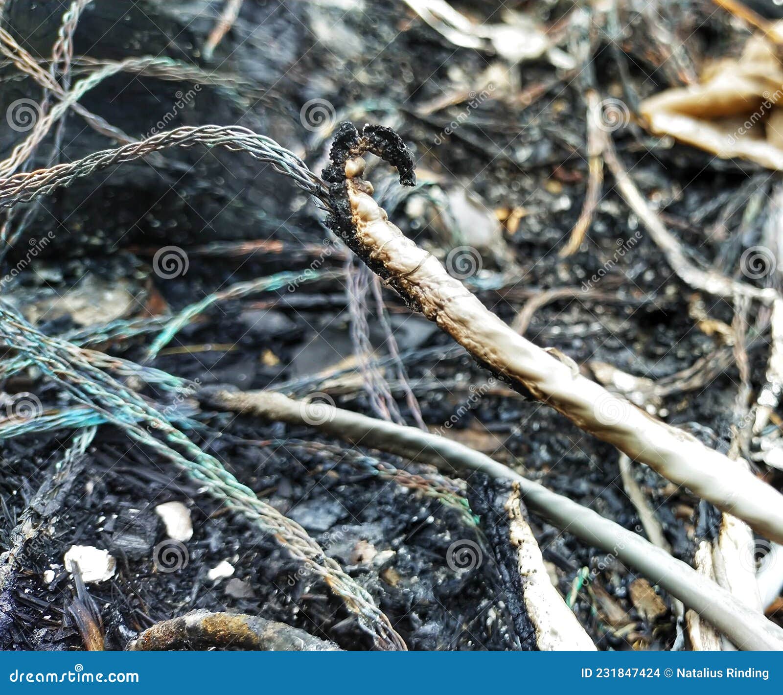 Some Burned Lan Internet Cables Stock Photo - Image of internet, burnt ...