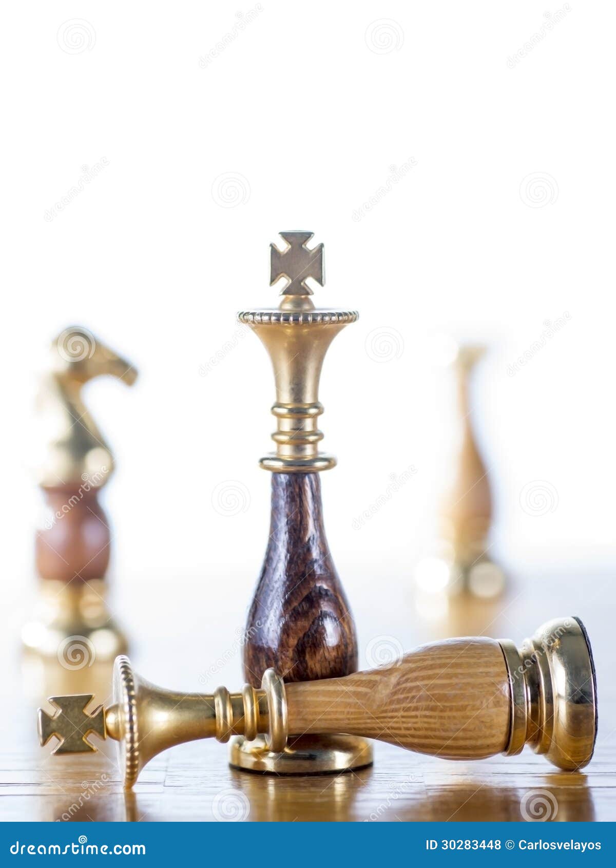 Chessmen on the Chessboard stock photo. Image of chessboard - 30283448