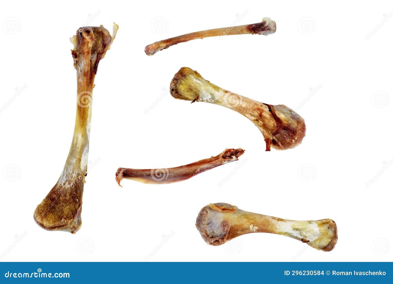 Some Chicken Bones Isolated on a White Background Stock Photo - Image ...