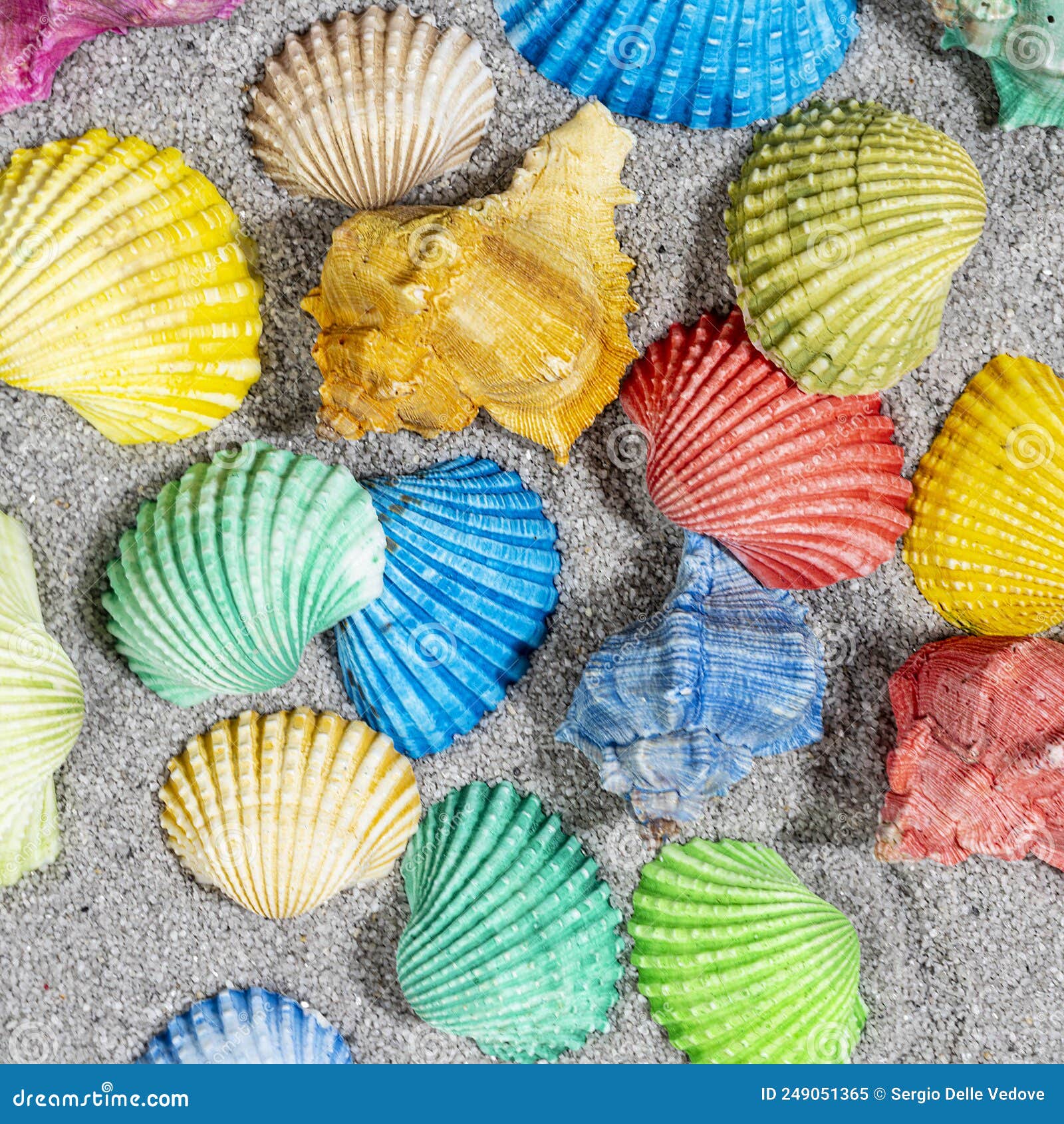 Colorful shells stock image. Image of objects, frame - 249051365