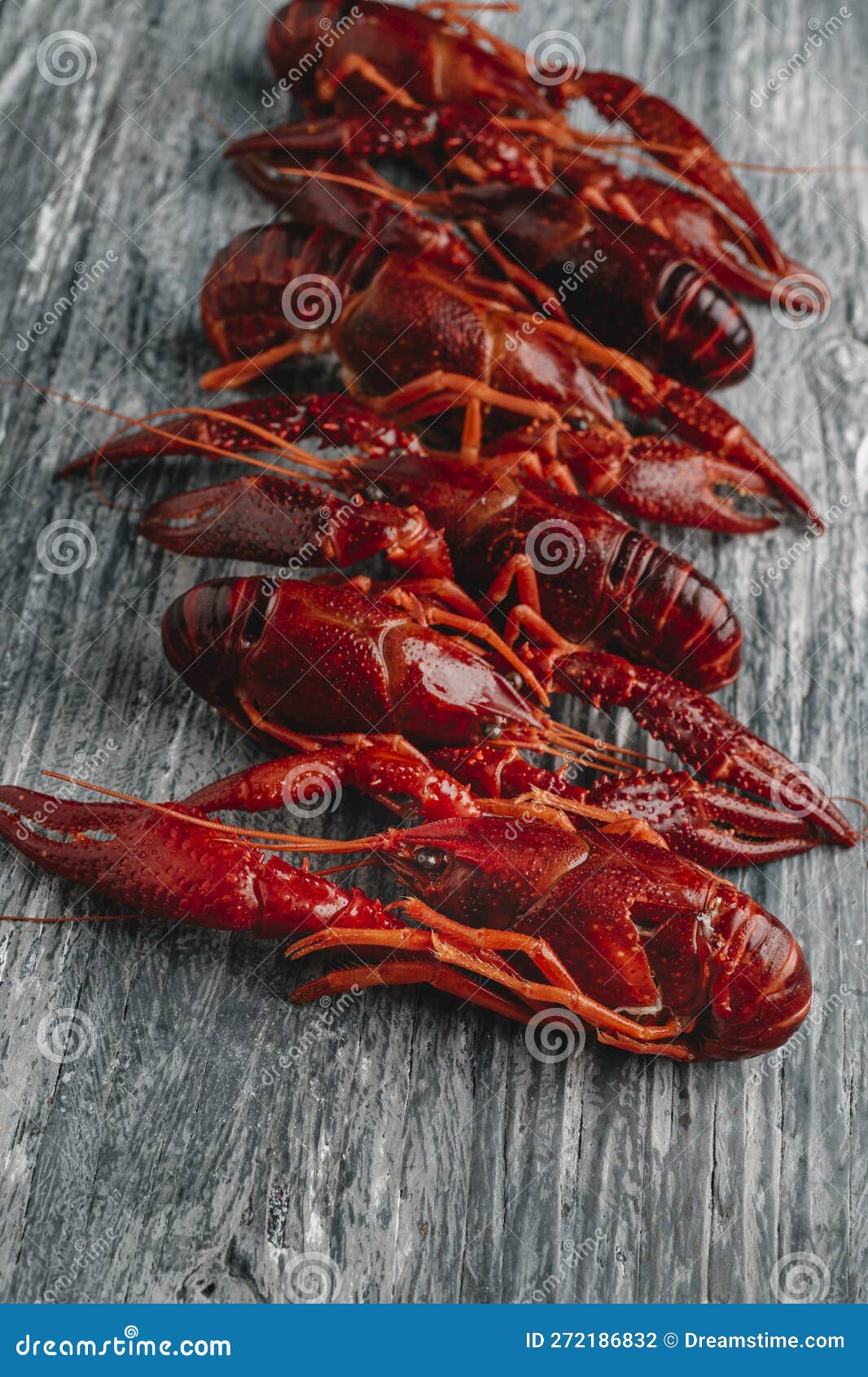 Cooked Crayfish Stock Photography | CartoonDealer.com #25893884