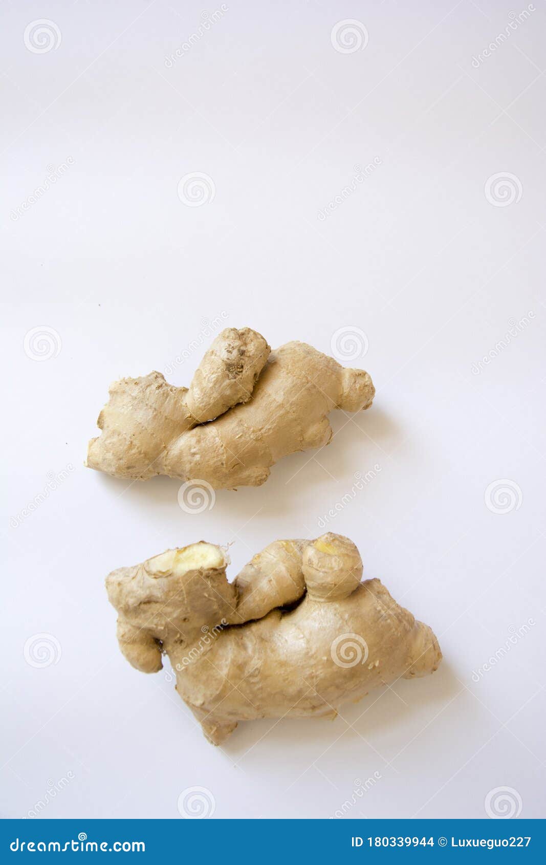 Details of ginger stock photo. Image of waterside, green - 180339944