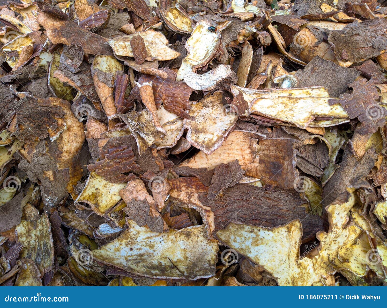 Some dried cassava peels stock image. Image of food - 186075211