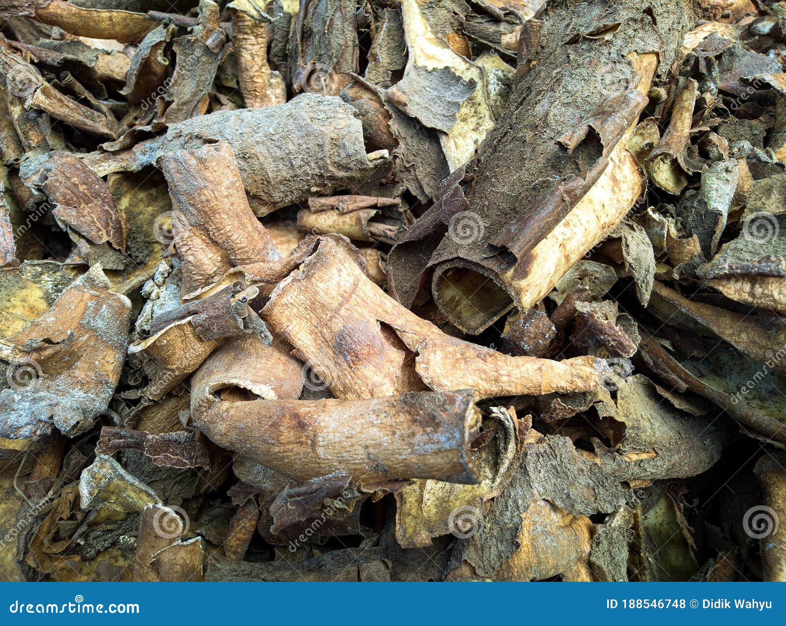 Some dried cassava skin stock photo. Image of cassava - 188546748