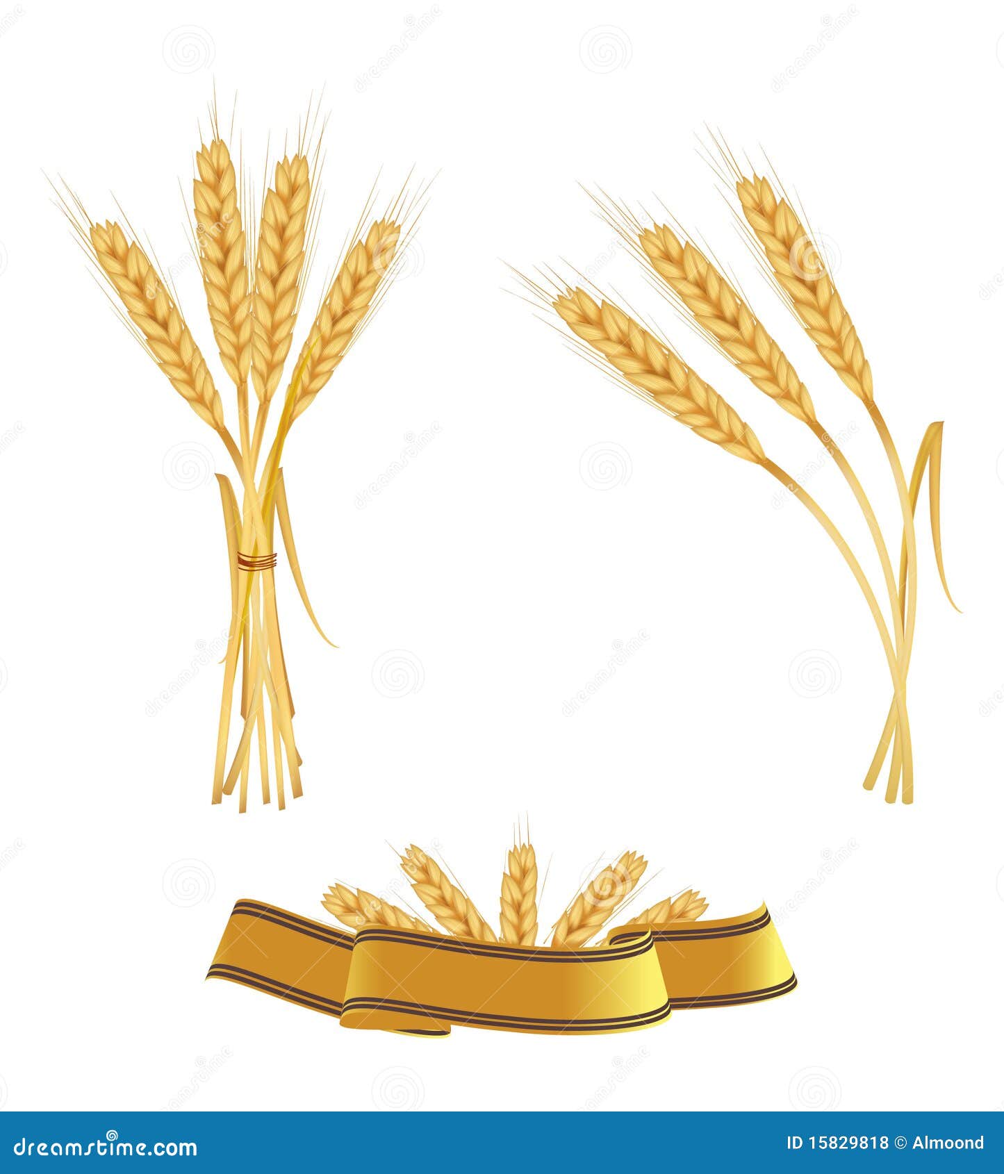 Some Ears of Wheat and a Ribbon. Stock Vector - Illustration of package ...