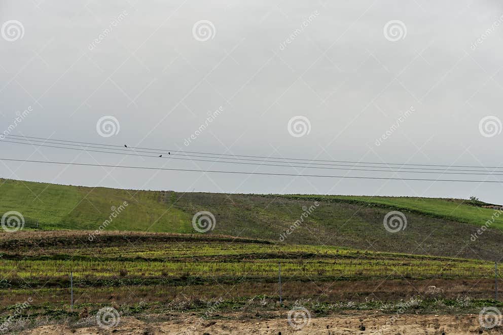 Some Fallow Fields with High Tension Lines Stock Photo - Image of park ...