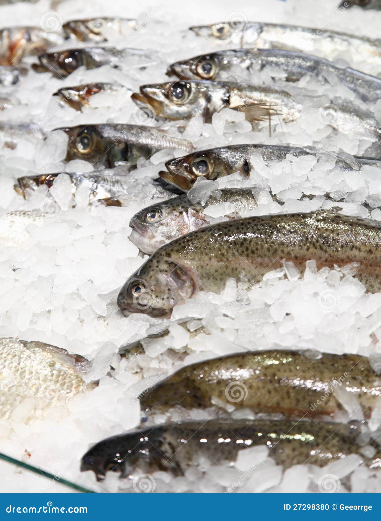 Some fish in ice stock photo. Image of healthy, nutrition - 27298380