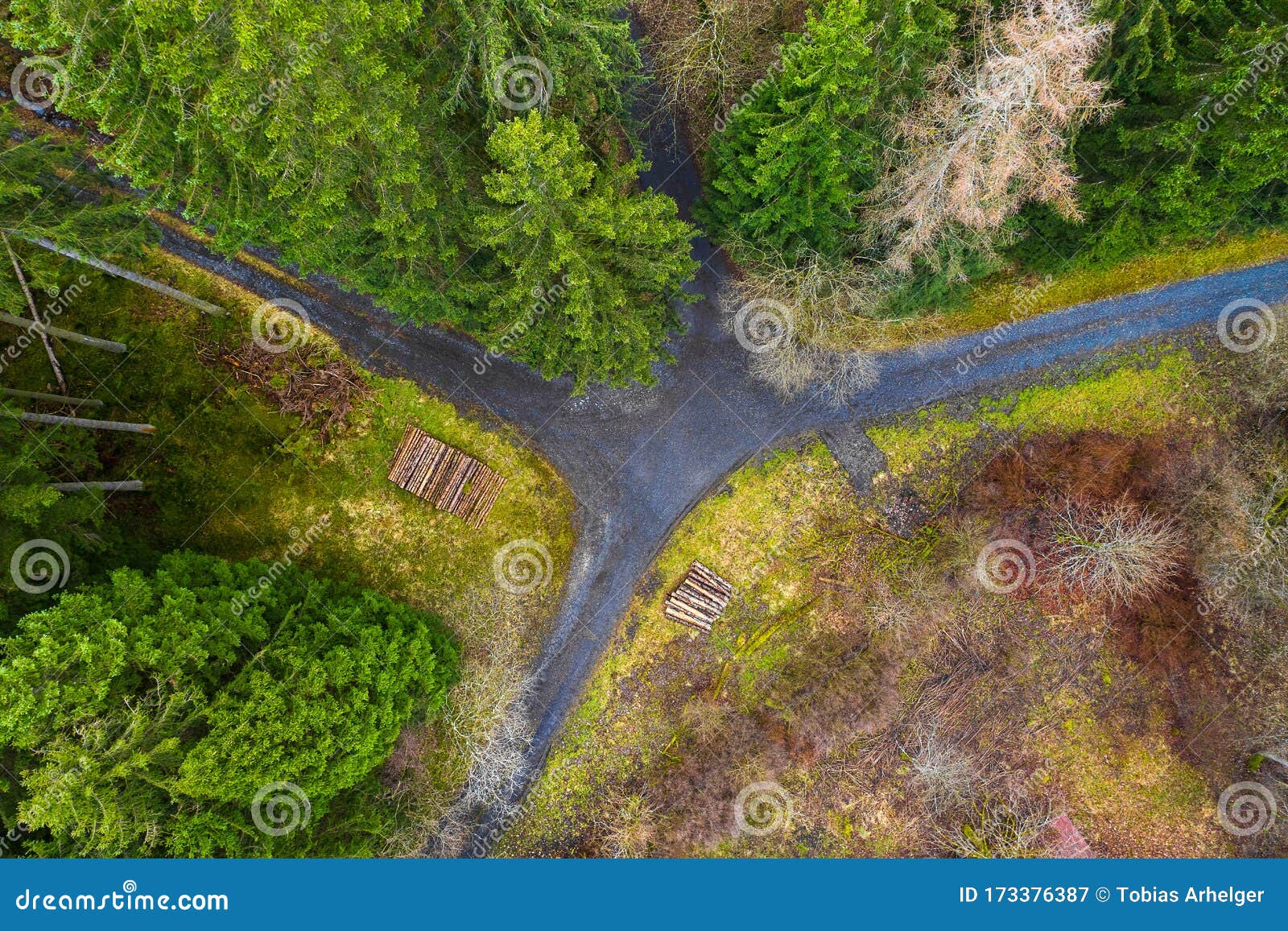 Forest Paths and Wood Stacks from Above Stock Image - Image of paths ...