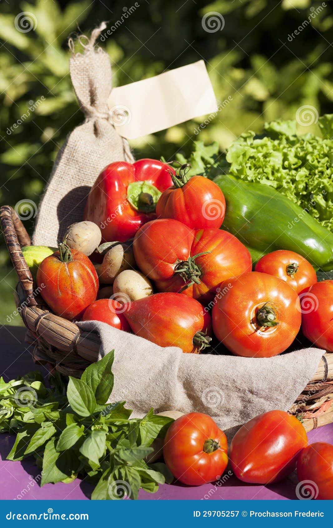 Some fresh bio vegetables stock image. Image of bunch - 29705257
