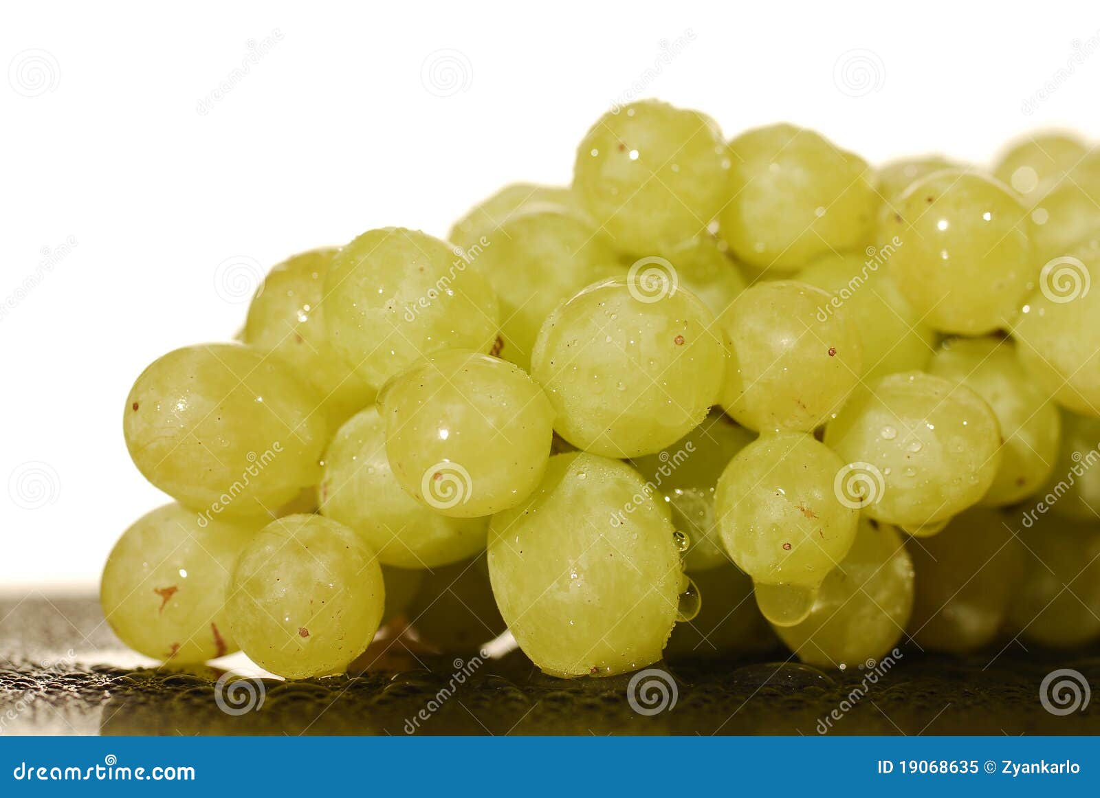Some fresh grapes stock image. Image of green, fresh - 19068635