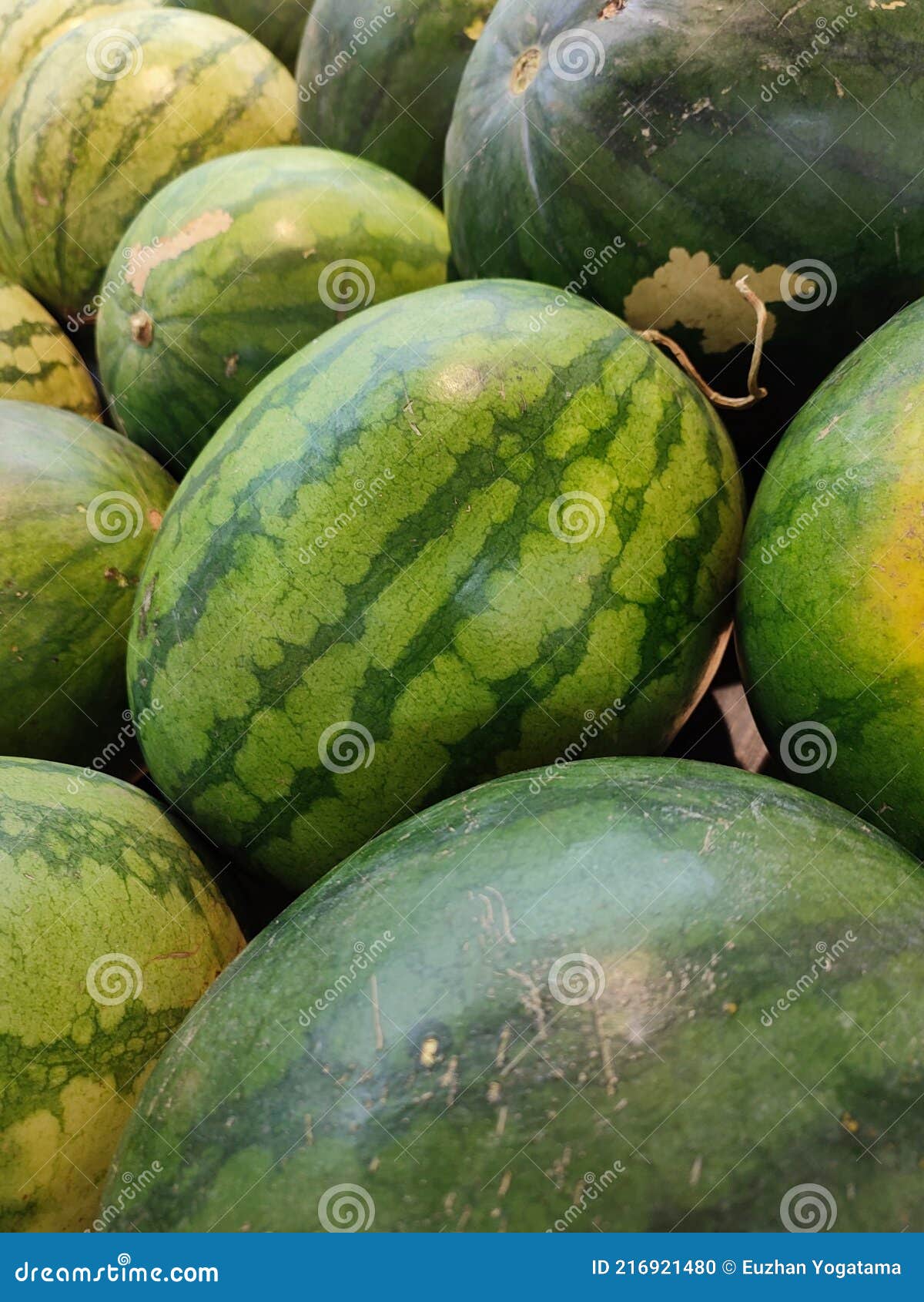 Some Fresh Green Watermelon on the Display Stock Photo - Image of green ...
