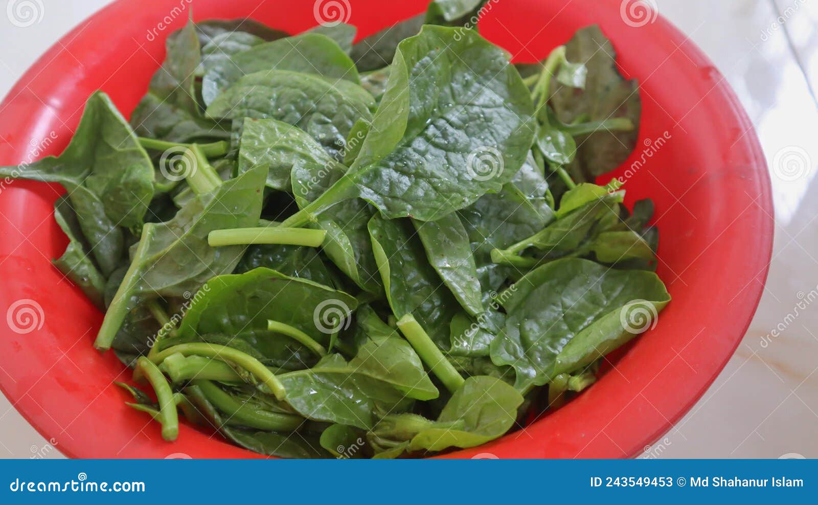Some Fresh Malabar Spinach Are Being Prepared For Cooking At Home In