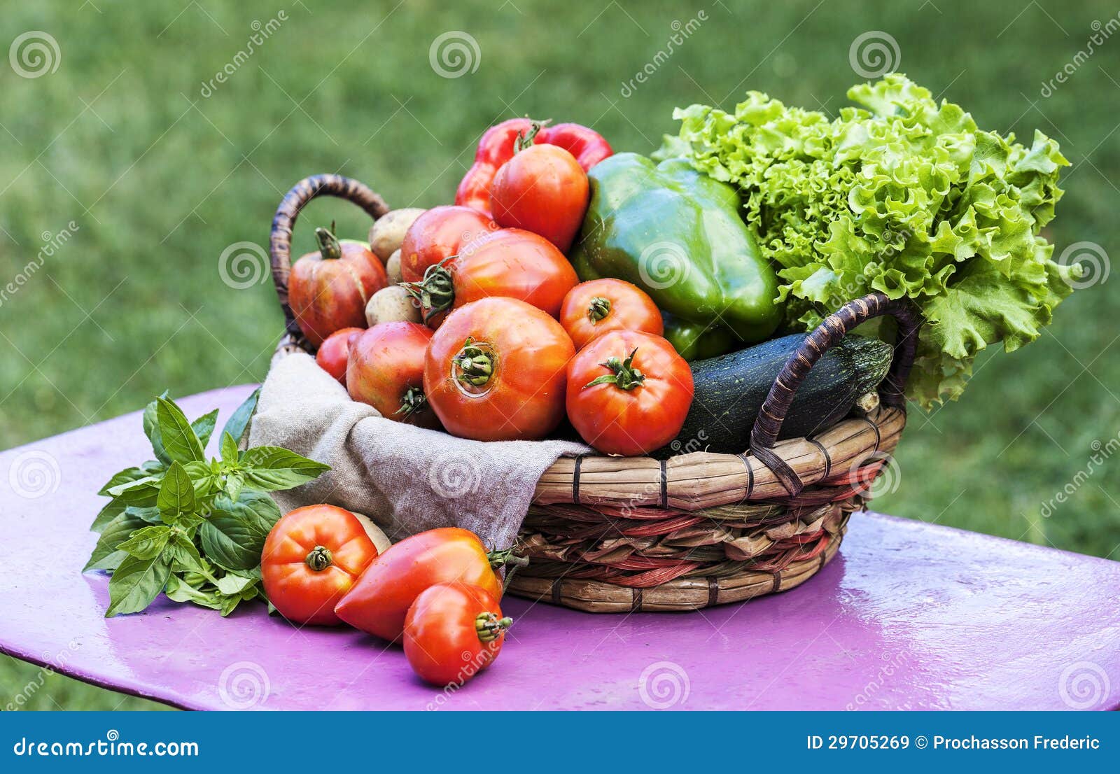 Fresh Vegetables on the Table in the Garden Stock Image - Image of ...