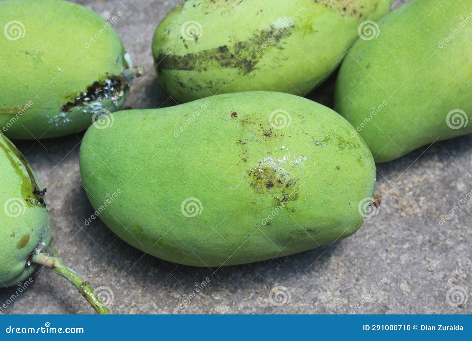 Young mango fruit stock photo. Image of green, dish - 291000710