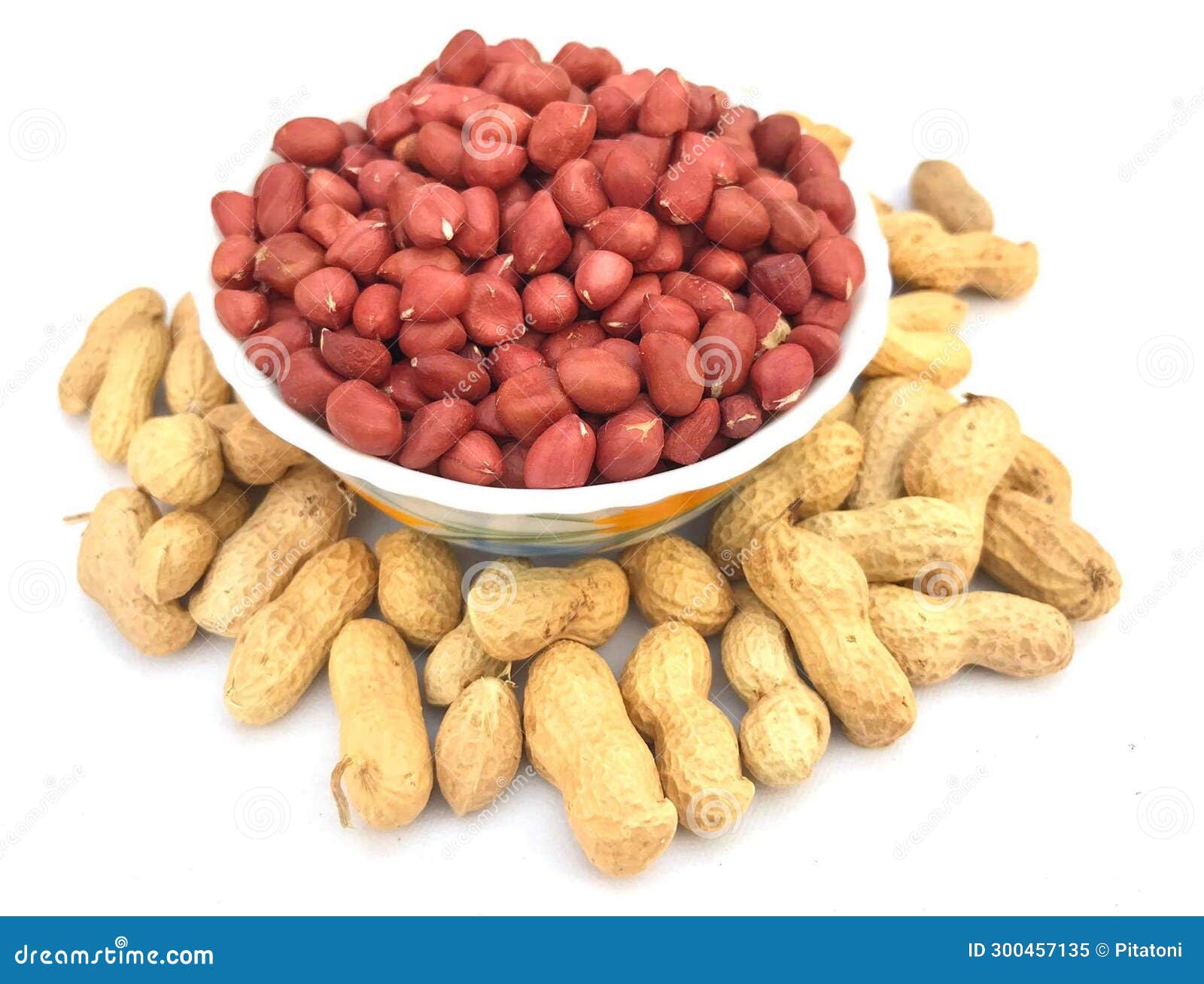 Groundnut and pods stock image. Image of pods, groundnut - 300457135