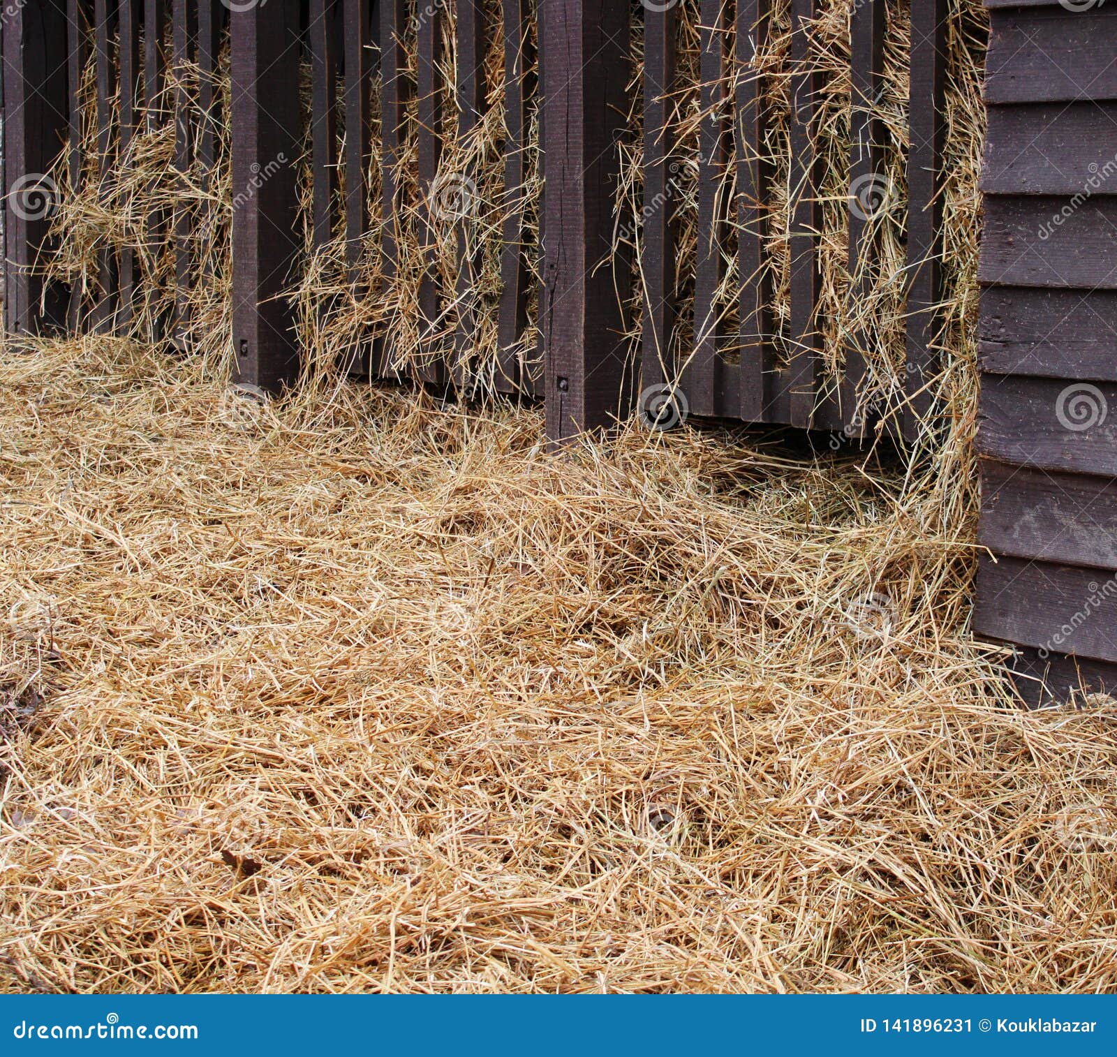 Some hay in a barn stock image. Image of plants, yellow - 141896231