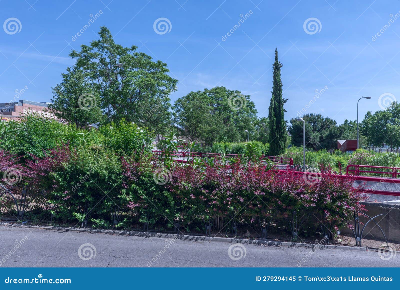 Some Hedges of an Urban Garden Stock Image - Image of walk, landmark ...