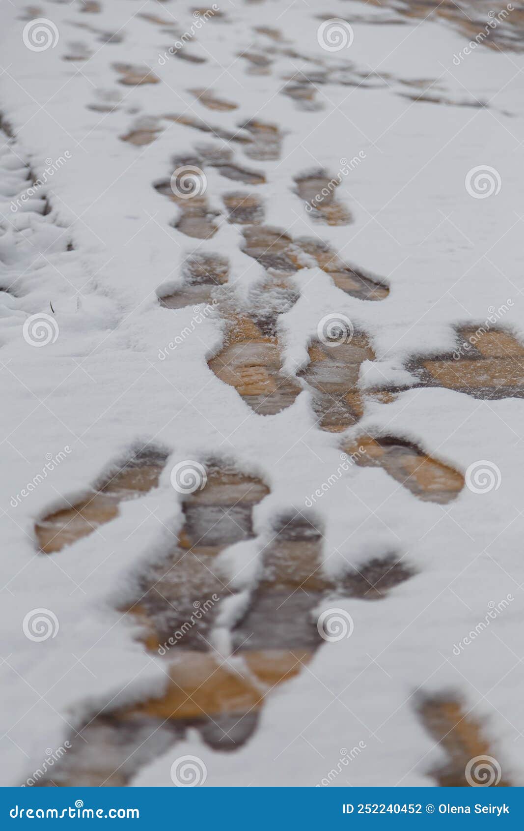 Some Human Footsteps on Snowy Path, Slushy Weather in Winter Stock ...