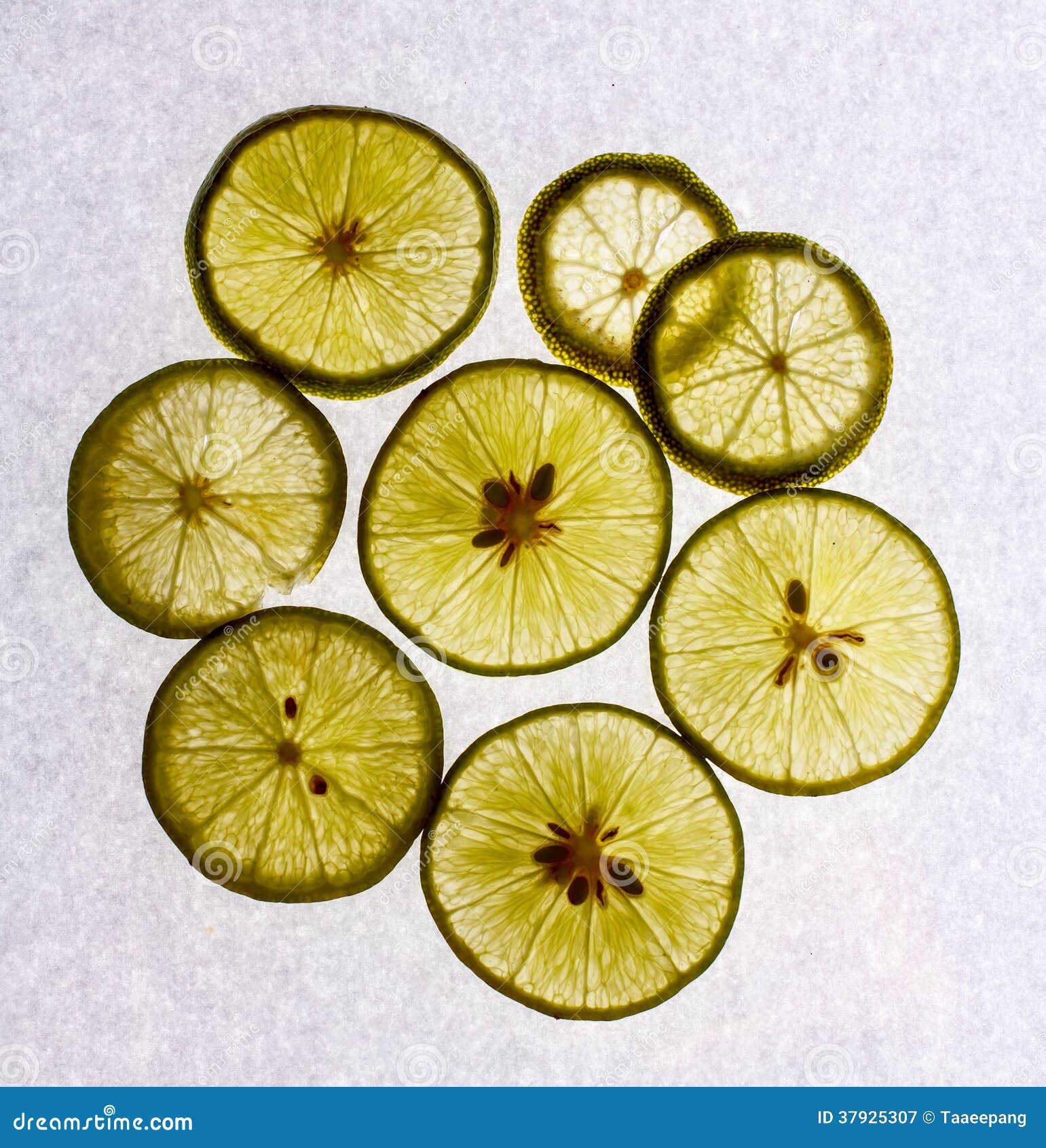 Some lime slices on white stock image. Image of lime - 37925307